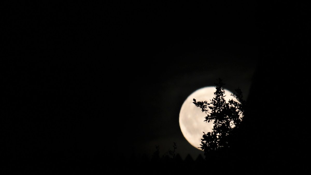 Hunter’s Moon: What It Is and When You Can See It – NBC 7 San Diego