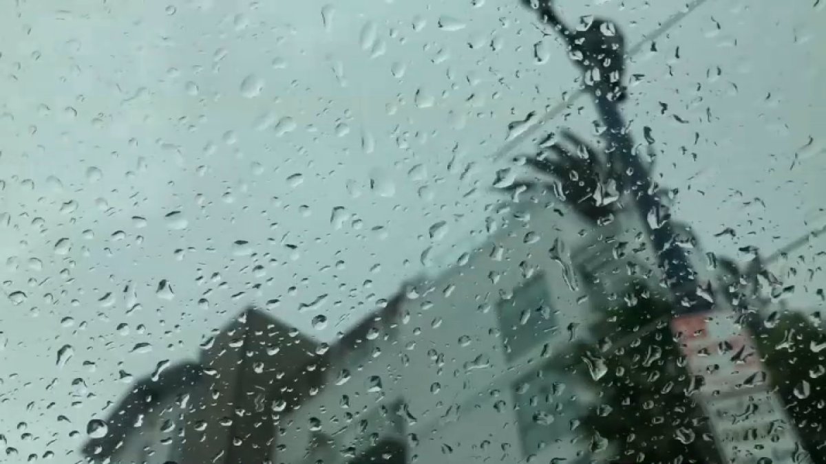 How Much Rain Did San Diego Get Yesterday? – NBC 7 San Diego