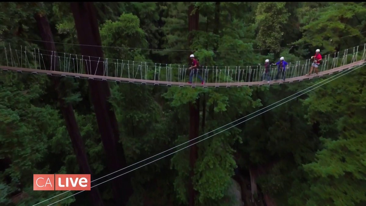Ross Ziplines Through Santa Cruz’ Magnificent Redwoods – NBC 7 San Diego