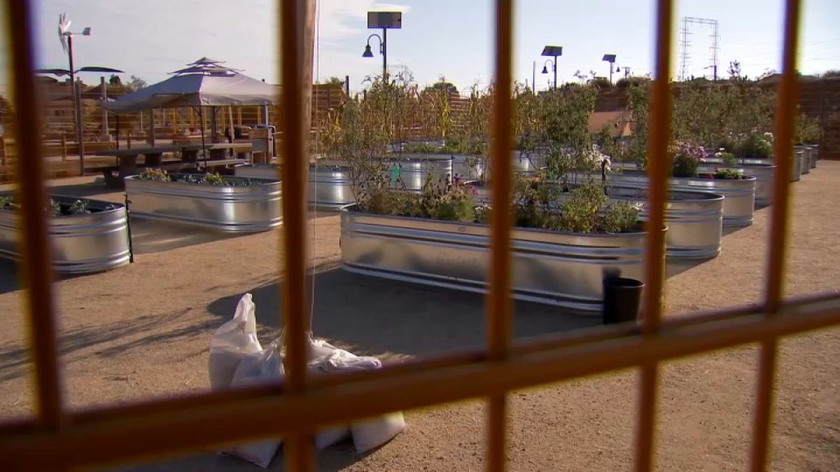 National City Opens New Community Garden – NBC 7 San Diego