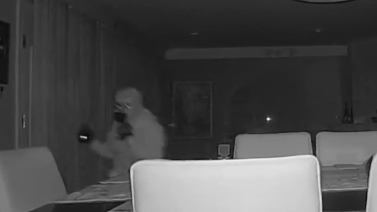 Chilean Burglary Ring Targeting Upscale Neighborhoods Back on the Prowl ...