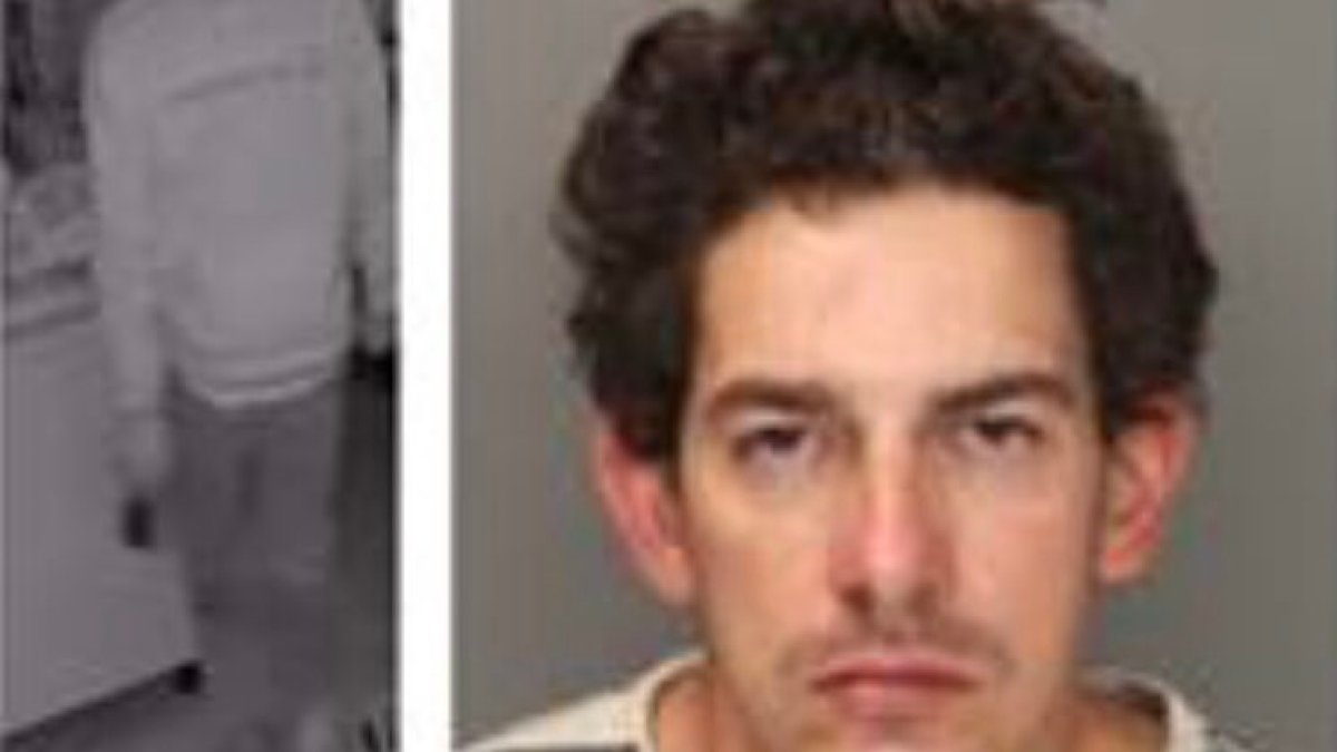 SDSO Identifies Suspect in Residential Burglary, String of Vandalisms ...