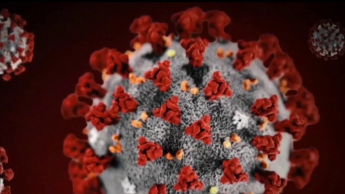 What Are the Chances Someone Can Get Reinfected With COVID-19? – NBC 7 ...