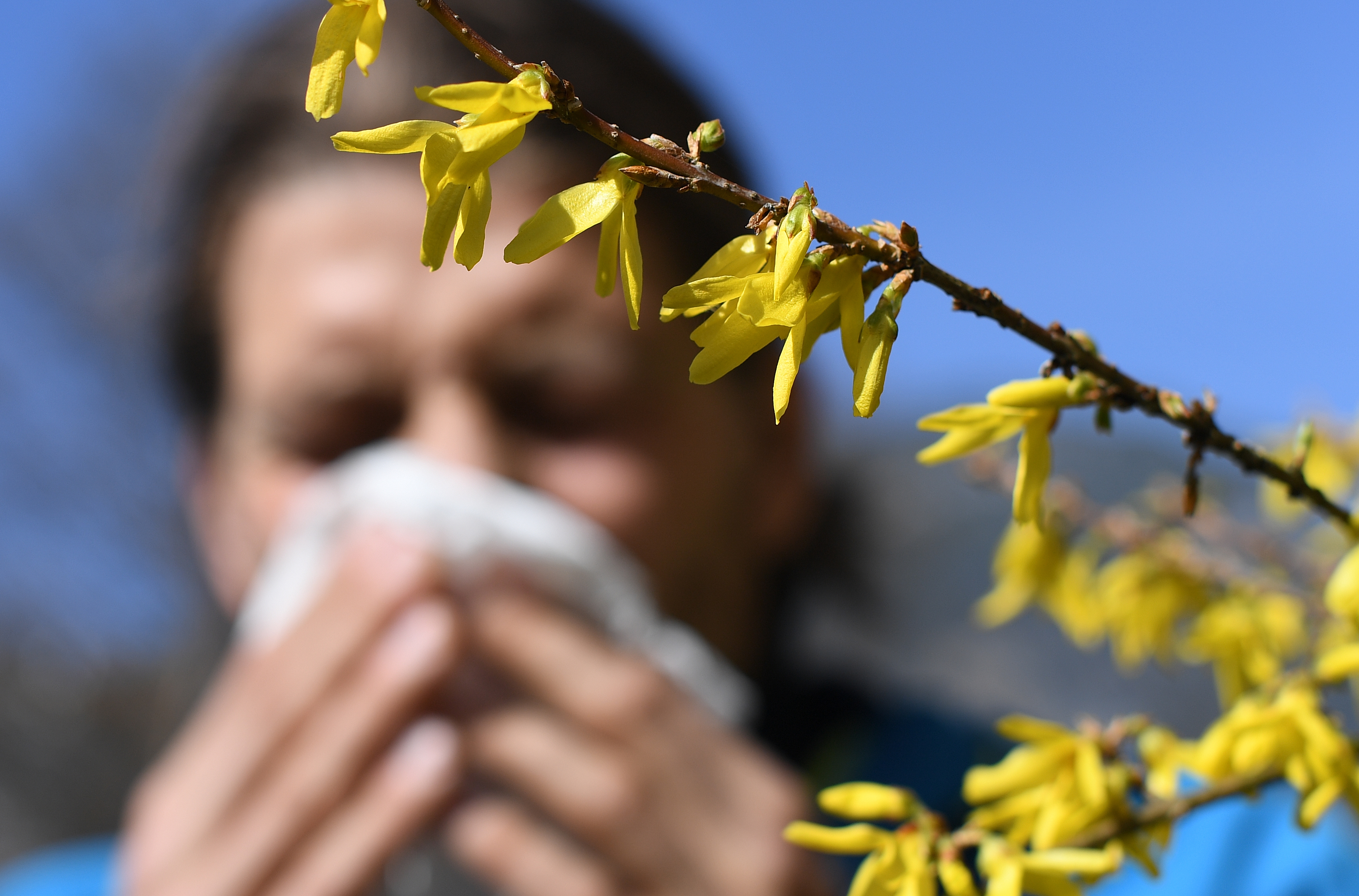 San Diego County pollen: Are your allergies getting worse? You’re not ...