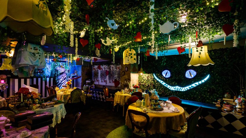 Alice in Wonderland-Themed Pop-Up Bar Comes to San Diego – NBC 7 San Diego