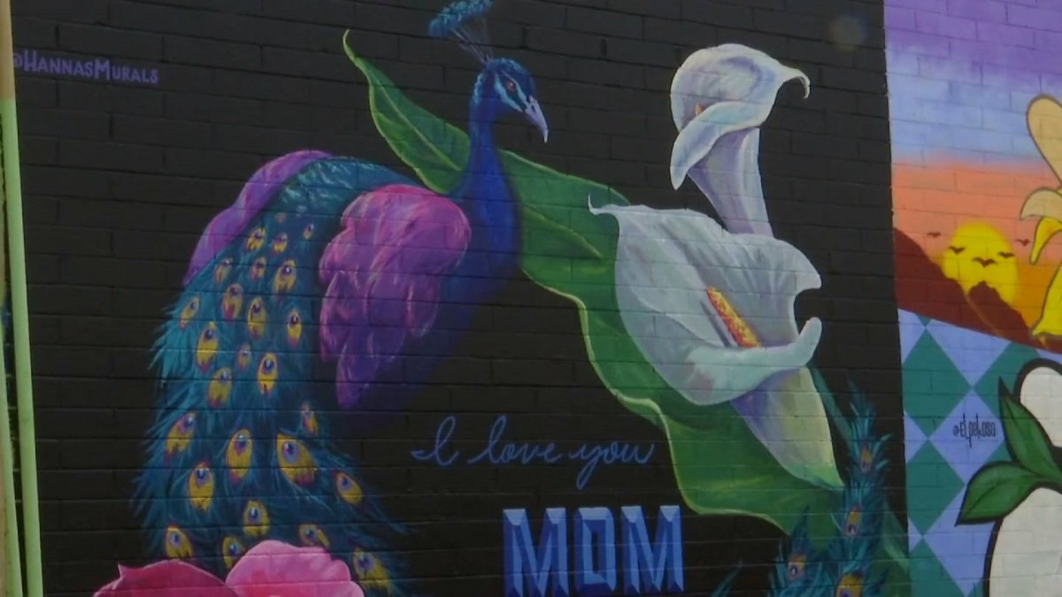 La Jolla Mural Honors Those Who Have Lost Their Moms – NBC 7 San Diego