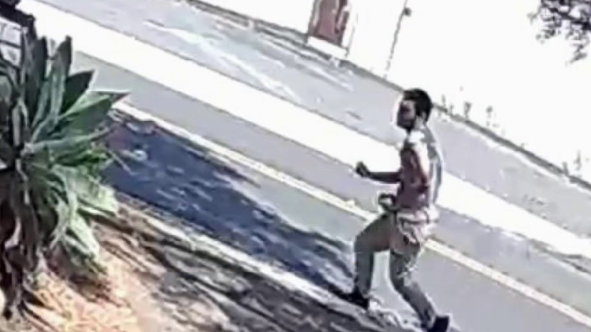 Have You Seen Him Manhunt Underway After Attempted Sex Assault Of Teen