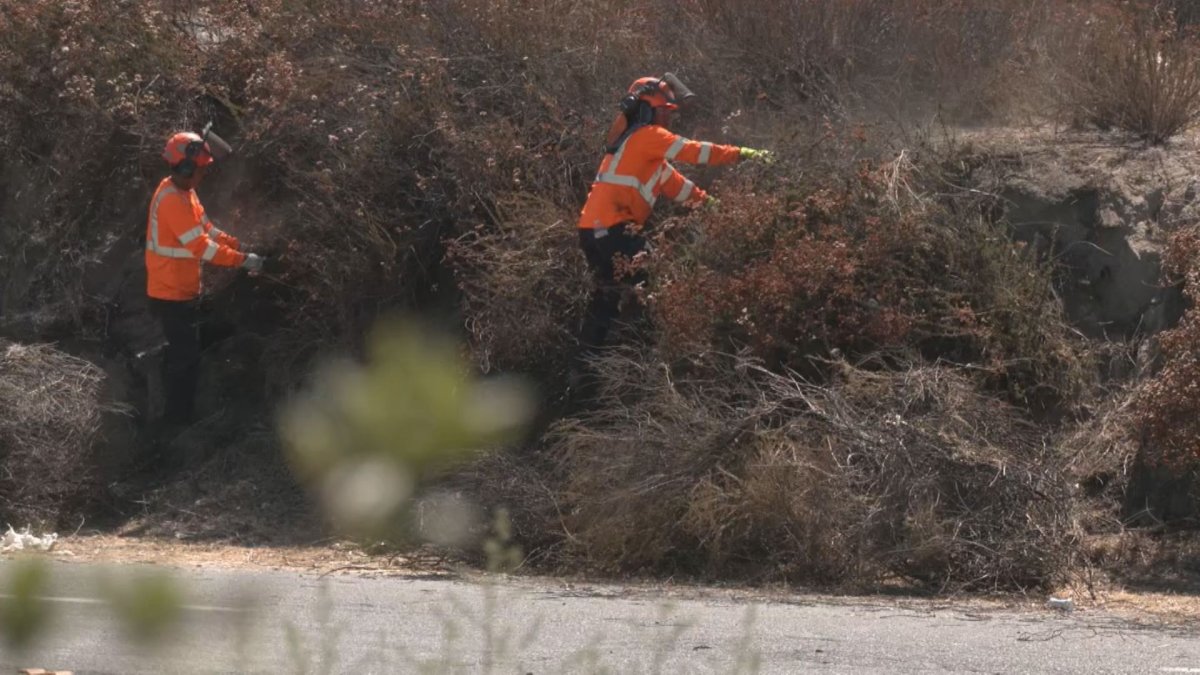 Caltrans Crews Clear Brush Alongside SR-78 This Week in San Diego ...