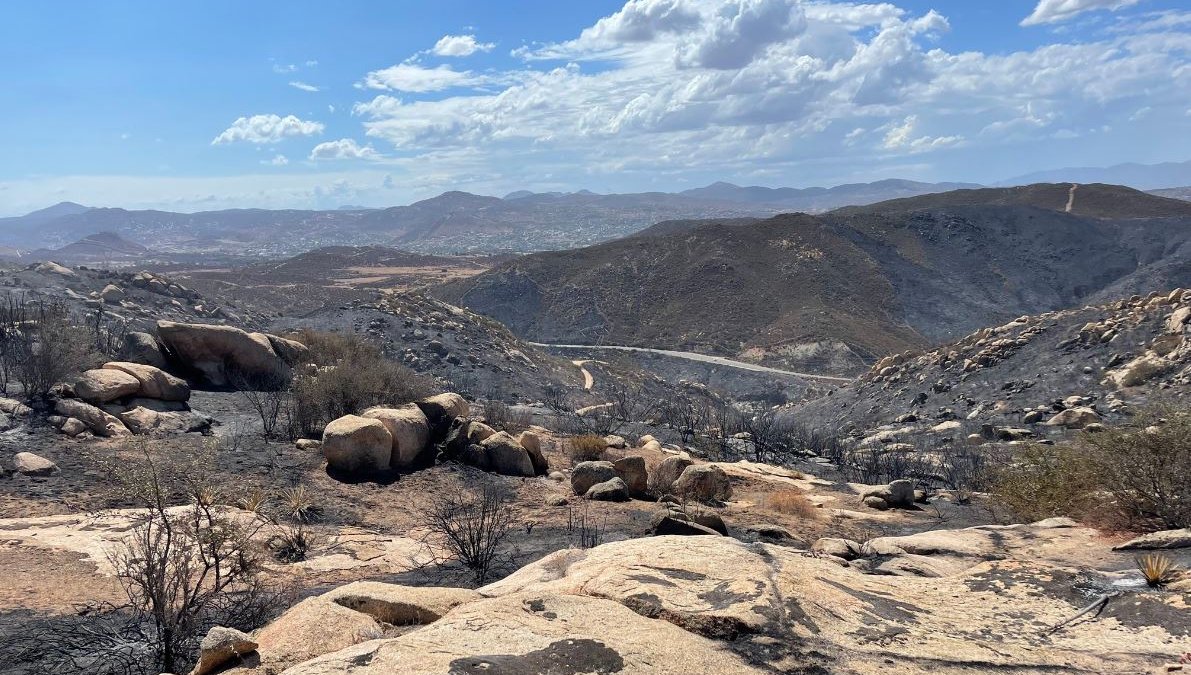 Destructive Border 32 Fire in Dulzura Now 65% Contained – NBC 7 San Diego