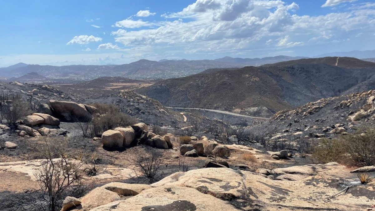 Destructive Border 32 Fire in Dulzura Now 65% Contained – NBC 7 San Diego