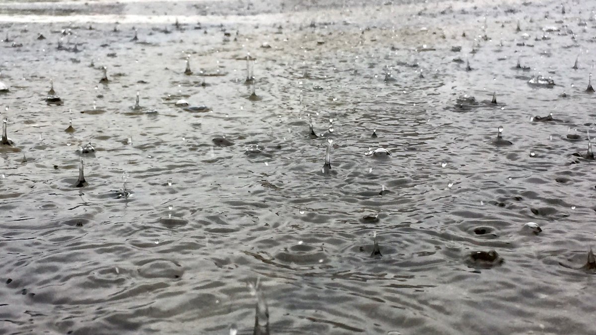 Here are the rainfall totals so far for San Diego County March 2025 ...