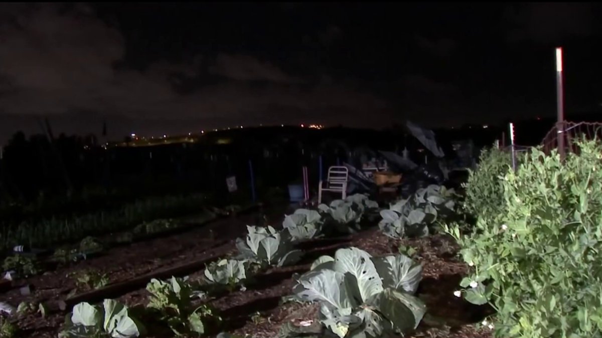 Ongoing Impact of the Storm in the Tijuana River Valley – NBC 7 San Diego