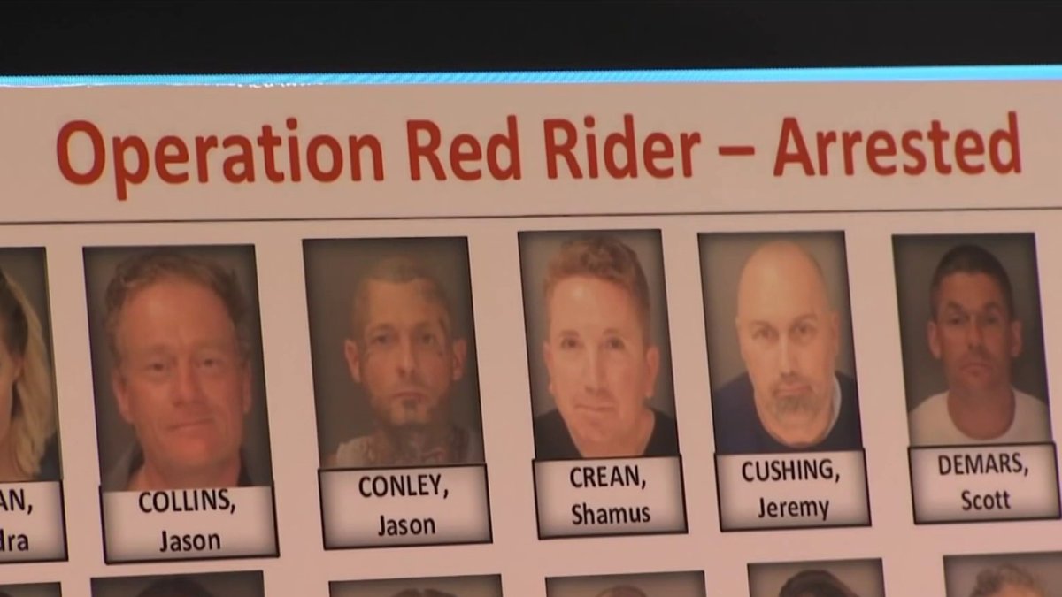 Raids Target San Diegans With Ties to White Supremacist Groups; Guns ...