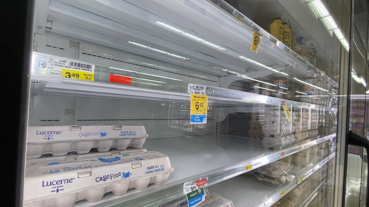 Eggs Are Pricey Right Now in San Diego — That Is, If You Can Find Them ...