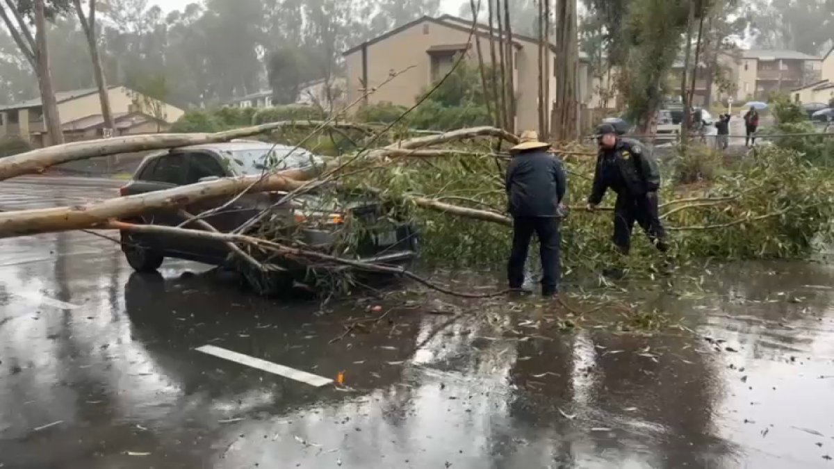Did Recent Storms Damage Your Property or Business? San Diego County Wants to Know – NBC 7 San Diego