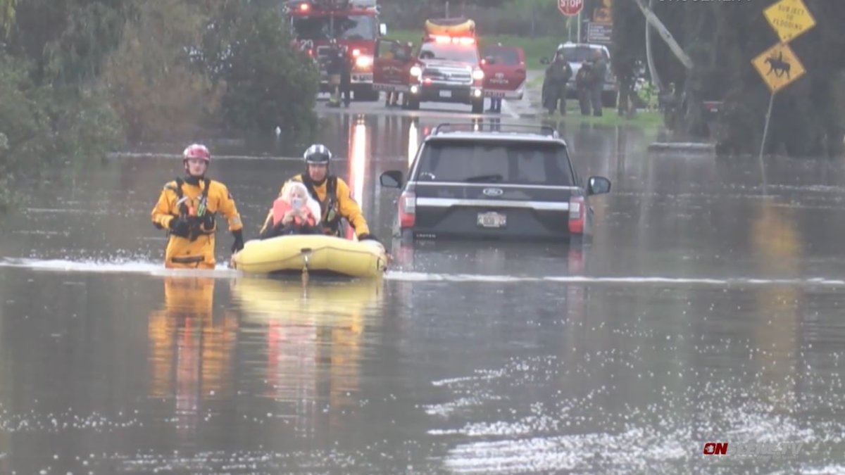 Storm Damage in San Diego: Downed Trees, Flooded Roads, Power Outages ...