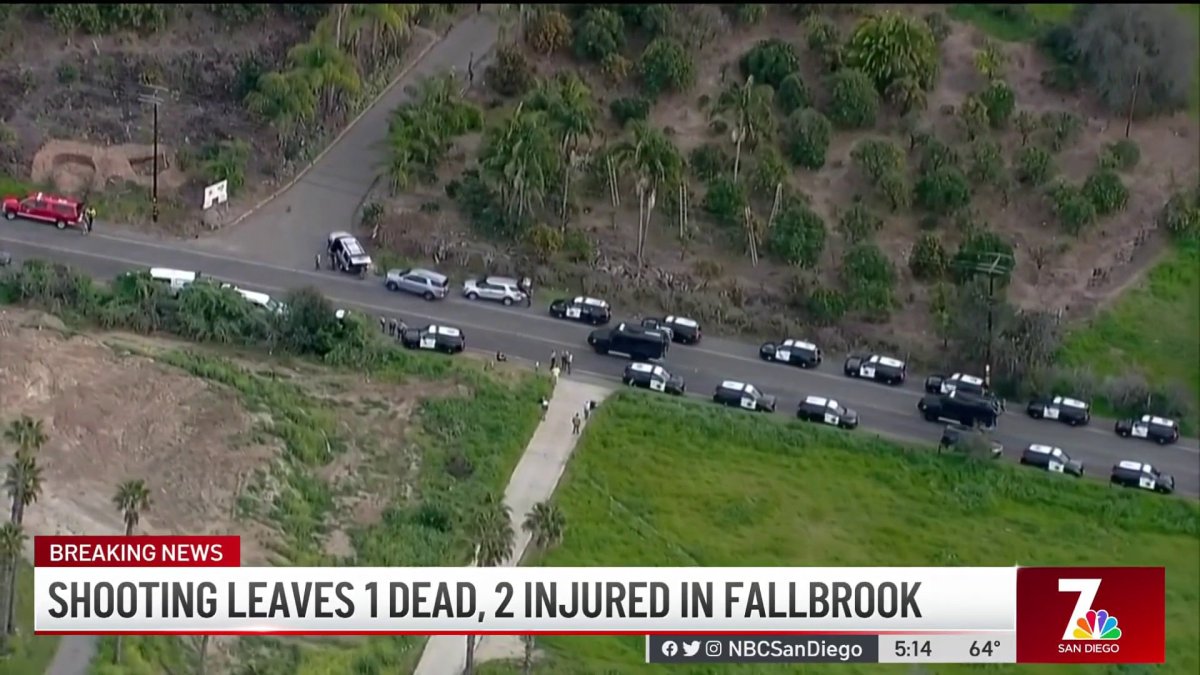 1 Dead, 2 Injured, 1 Arrested After Shooting at Plant Nursery in ...