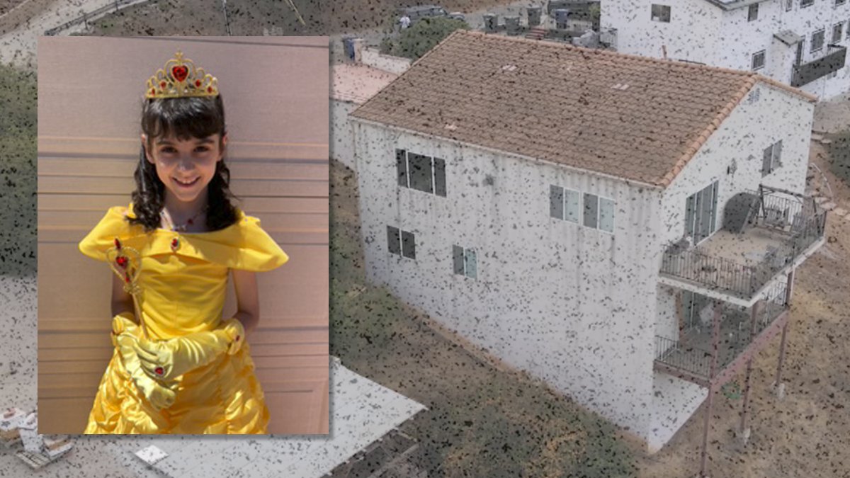 Murder trial in Spring Valley girl’s death may not begin until 2026 ...