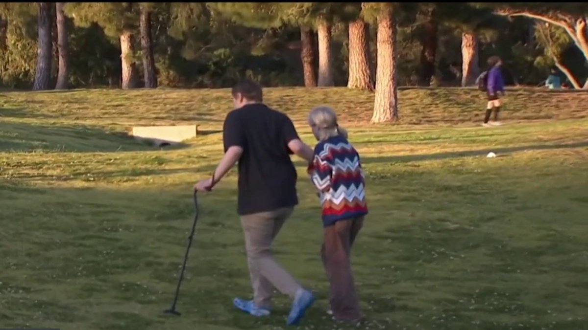 San Diego Teen High on Salvia Survives 60-Foot Fall, Lives to Tell ...