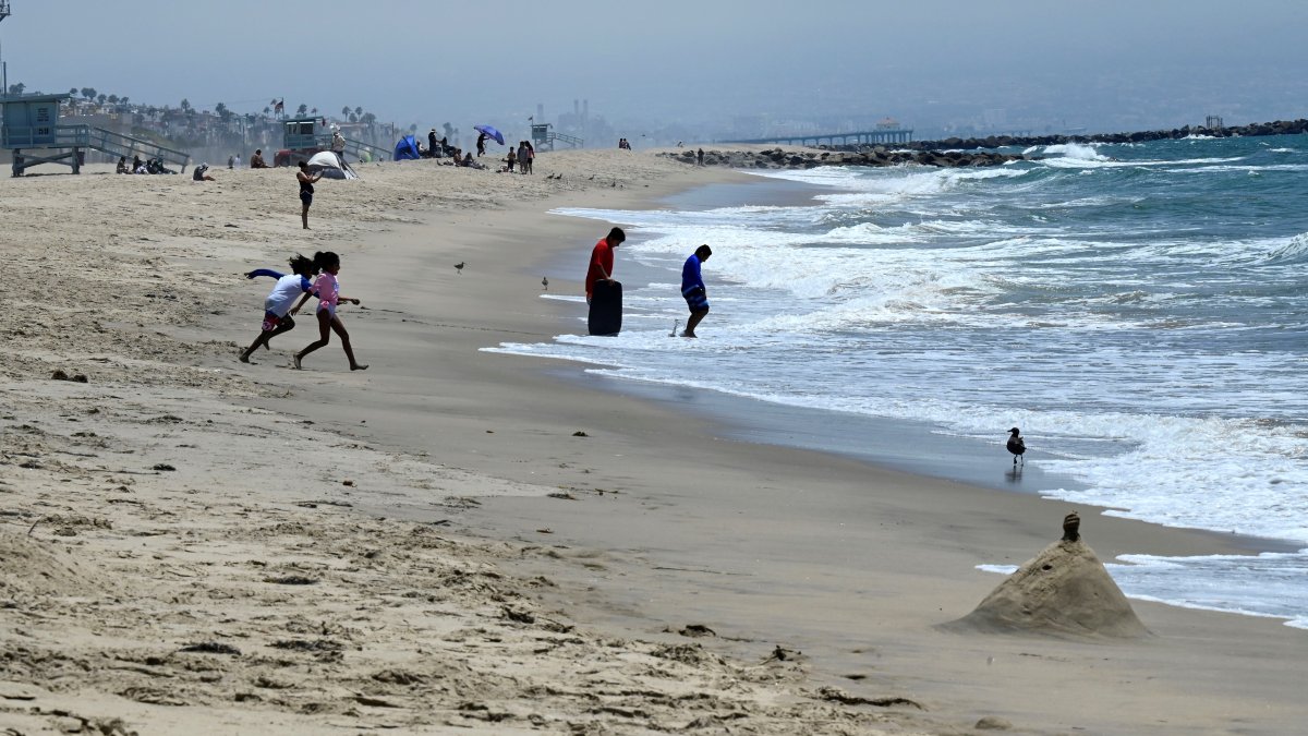 List: Most Common Trash Items Found on California Beaches – NBC 7 San Diego