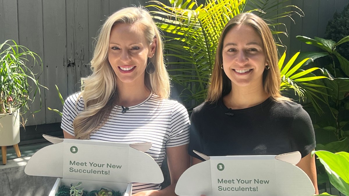 Founder of Botany Box on how to properly care for your plants this ...