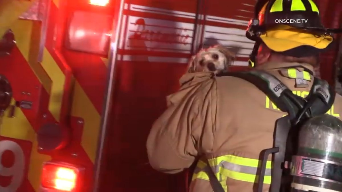 Person Hospitalized, Dog Injured in 2-Alarm Fire at National City High ...