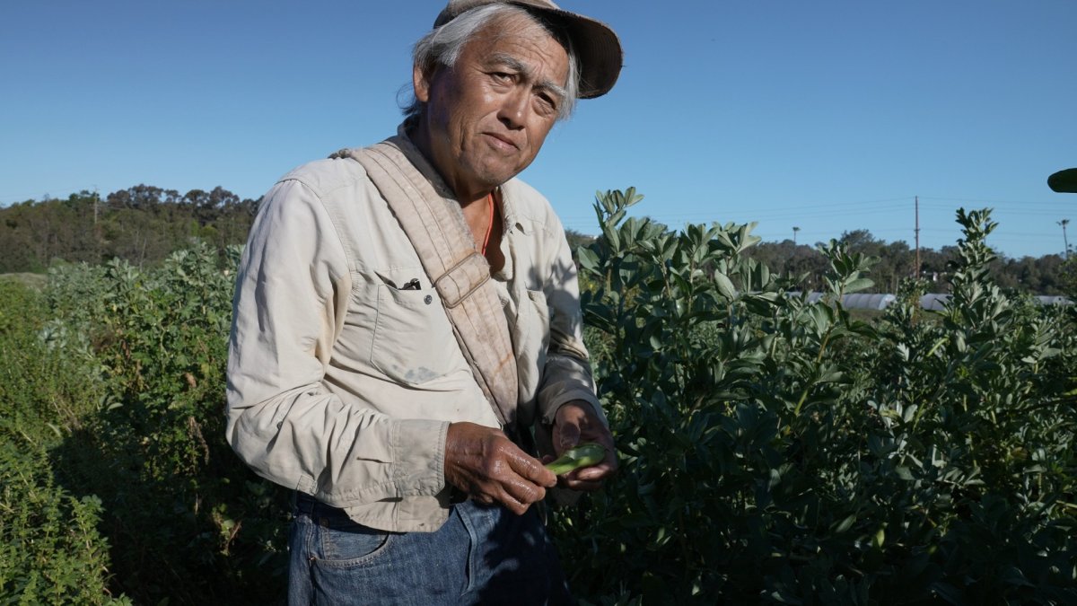 Get to Know the Generations Behind Chino Farm’s Success – NBC 7 San Diego