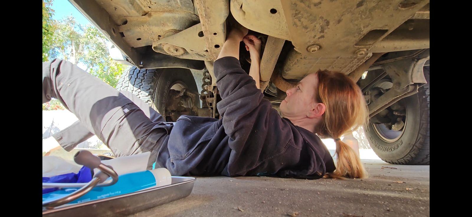 Kitten Gets Trapped in Truck’s Frame, Freed by San Diego Humane Society ...
