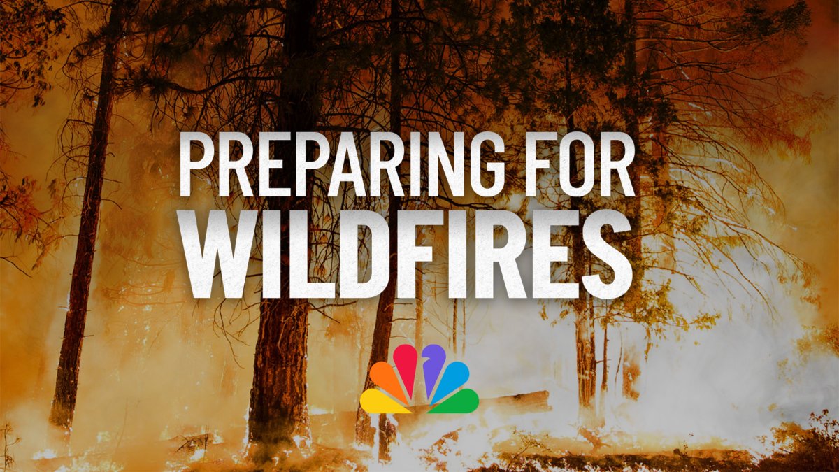 Watch: Predicting and Preparing for 2023 Wildfire Season – NBC 7 San Diego