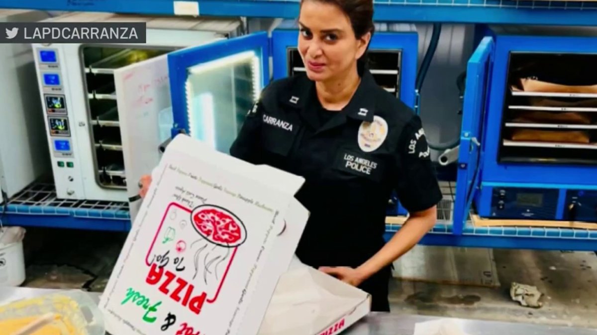 North Hollywood drug lab was disguised as a pizza kitchen – NBC 7 San Diego