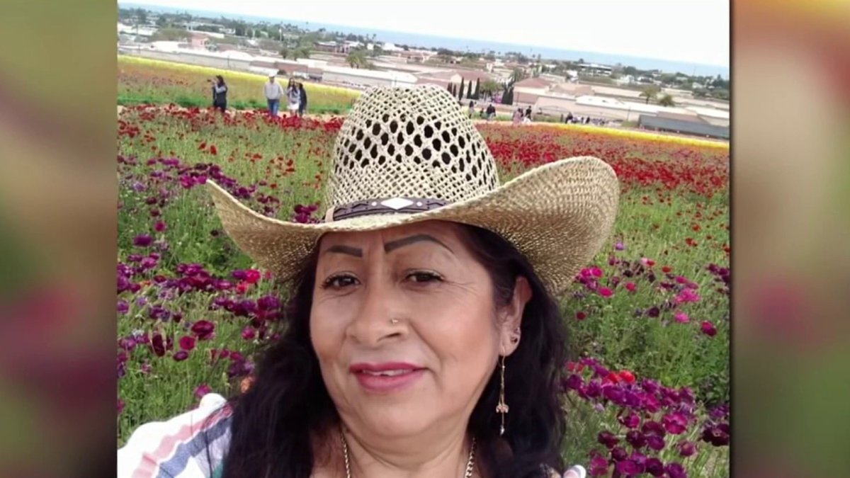 Family unhappy with sentence for hit-and-run driver who killed beloved ...