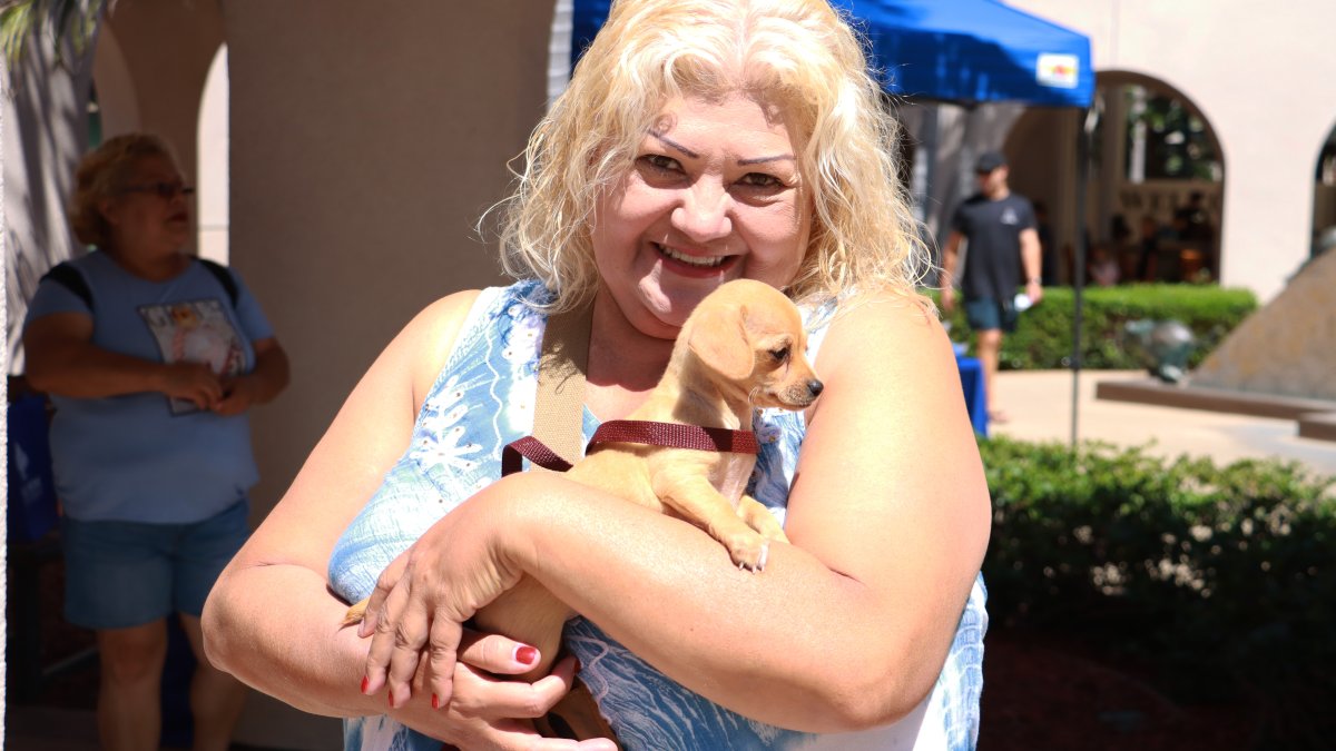 Clear the Shelters 2023: San Diegans adopt 400+ pets during annual ...