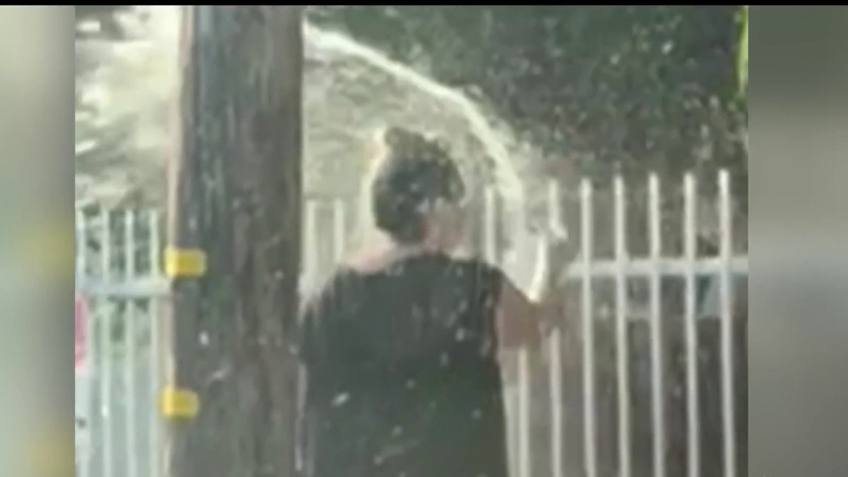 Man hoses down grandma during argument in Lake Balboa – NBC 7 San Diego