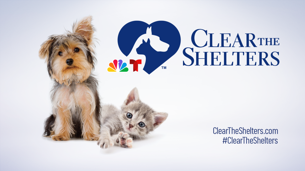NBC 7 & Telemundo 20 Announce that 3,180 Pets were Adopted from Local ...