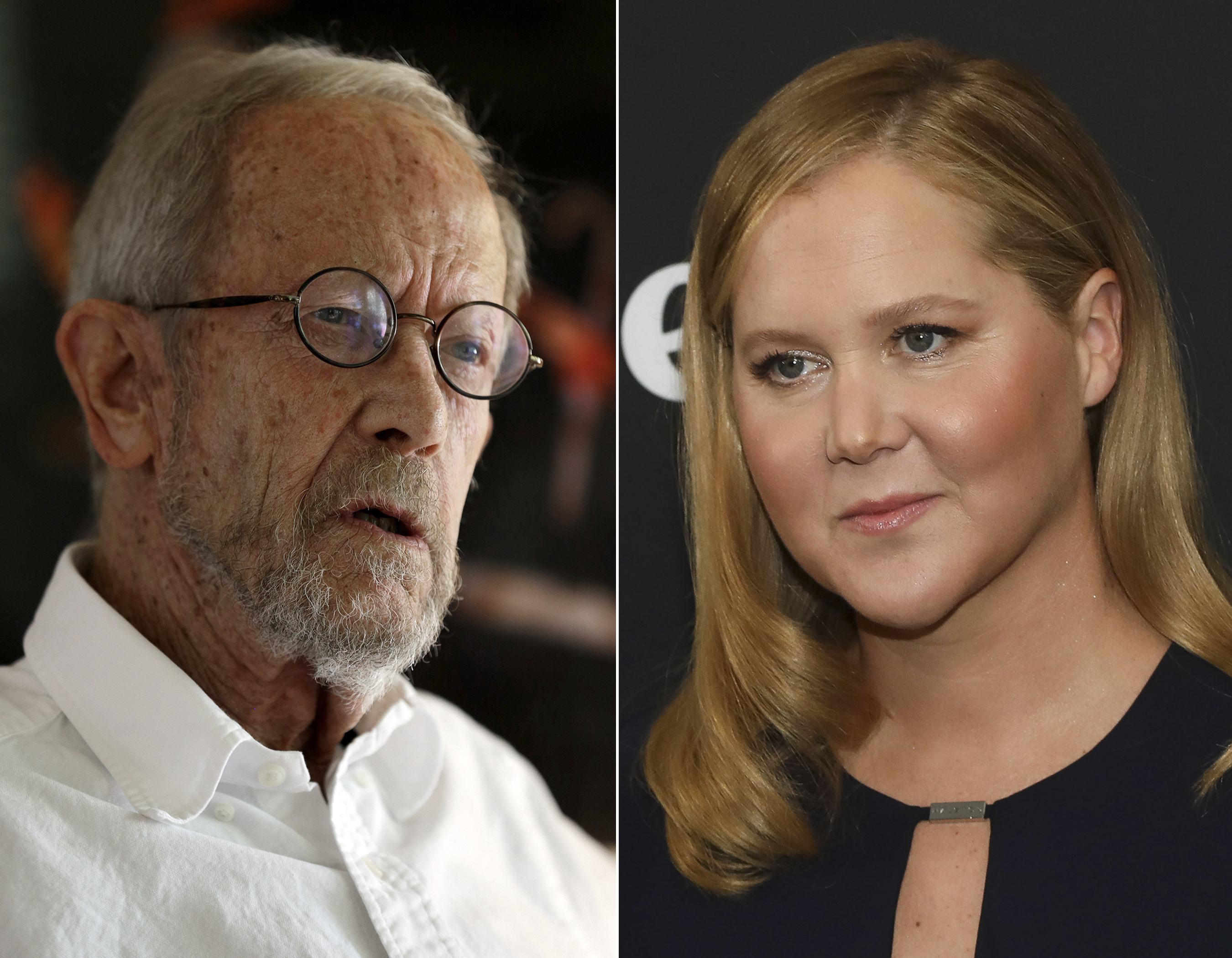 Why Amy Schumer’s memoir and many other books are banned in US prisons ...