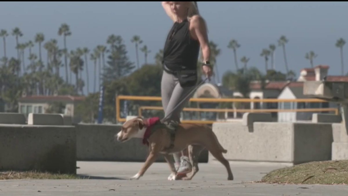 Trying to change a decades-old law banning dogs from Mission Bay ...