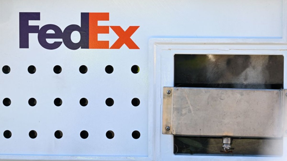 National Zoo pandas leave DC in emotional goodbye – NBC 7 San Diego