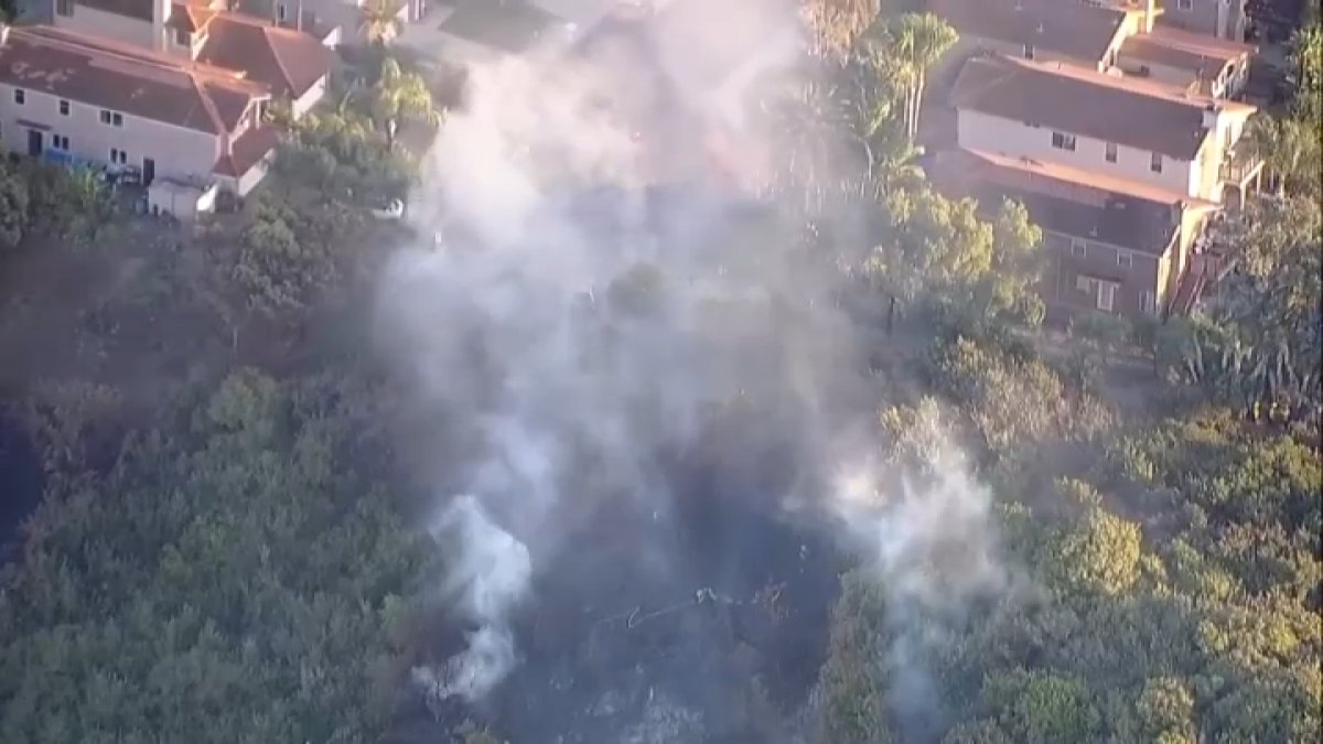 Watch: Neighborhood spared from Marron Fire thanks to Cal Fire ...