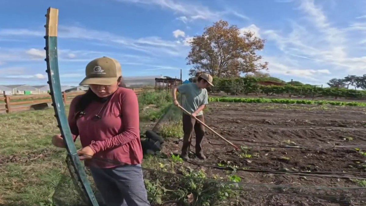 Coastal Roots Farm donates produce to San Diegans facing food ...