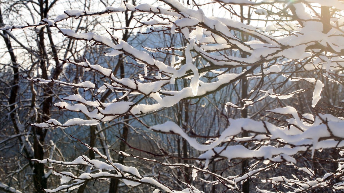 When is the first day of winter in 2023 and what is the winter solstice ...