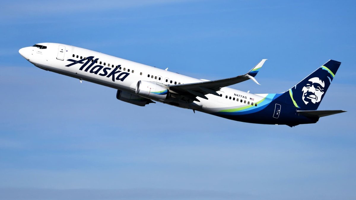 SF man alleges dog died after Alaska Airlines moved him to coach – NBC ...