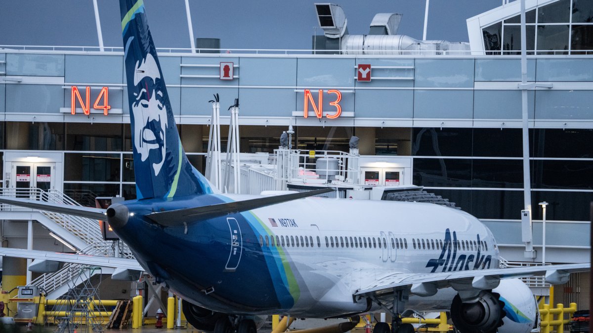 Aviation safety expert weighs in on Boeing 737 Max 9s after mid-air ...
