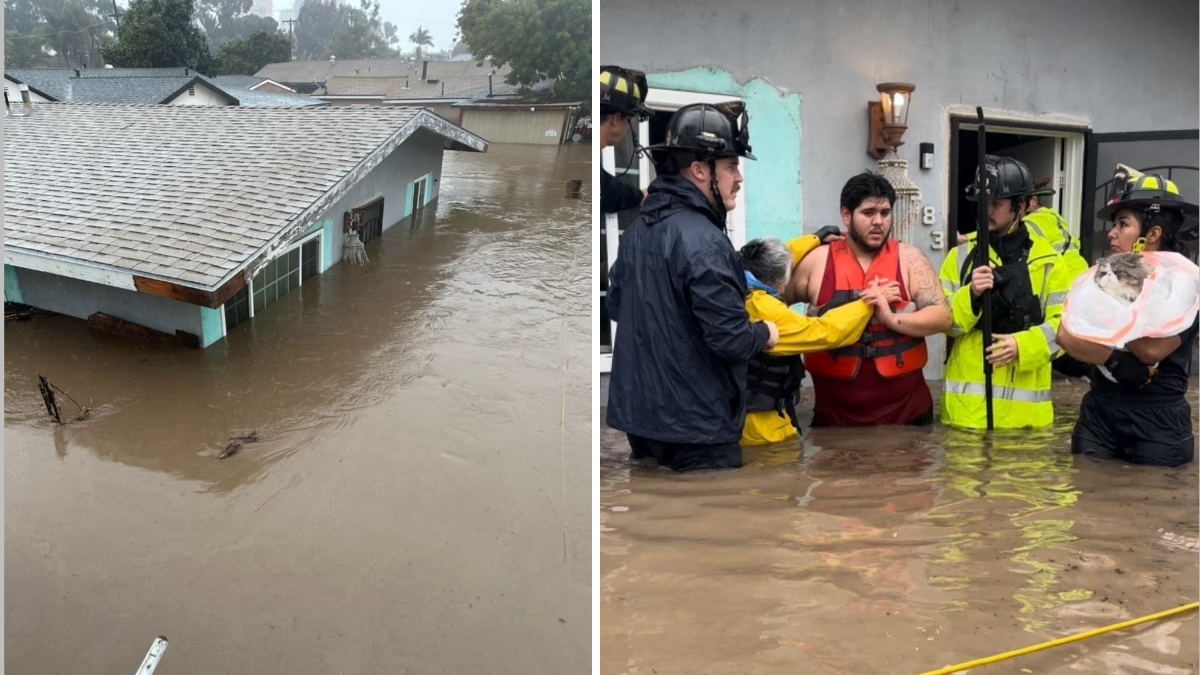 Southcrest grandma, cat, rescued by grandson from roof-high floodwaters ...