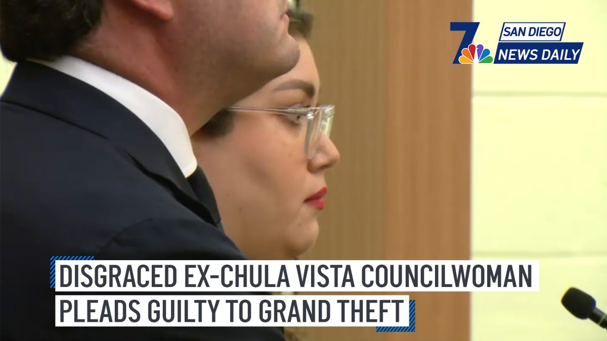 Ex-Chula Vista Councilwoman and Her Brother Plead Guilty to Grand Theft ...