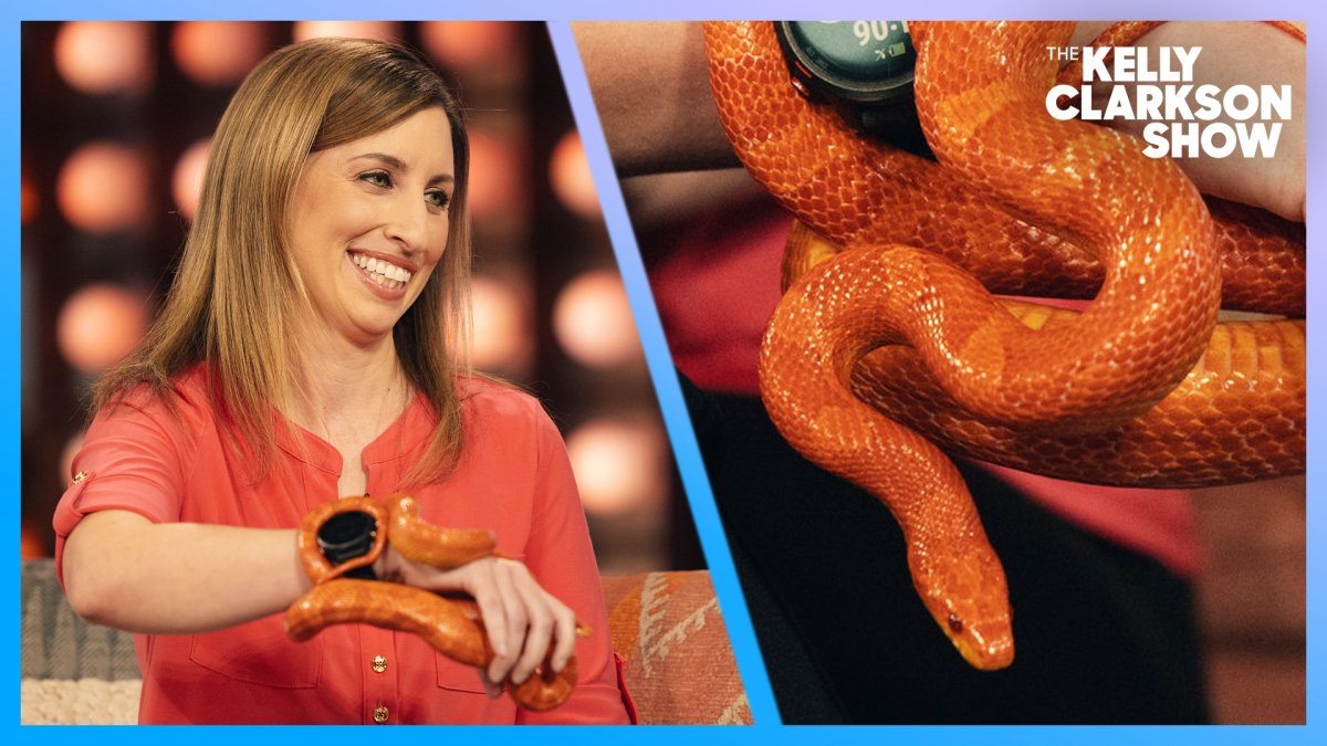 The Snake Lady explains why people shouldn’t be afraid of snakes – NBC ...