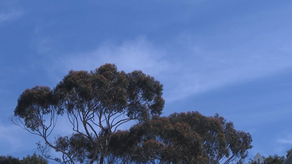 Could marine cloud brightening help fight against global warming? – NBC ...