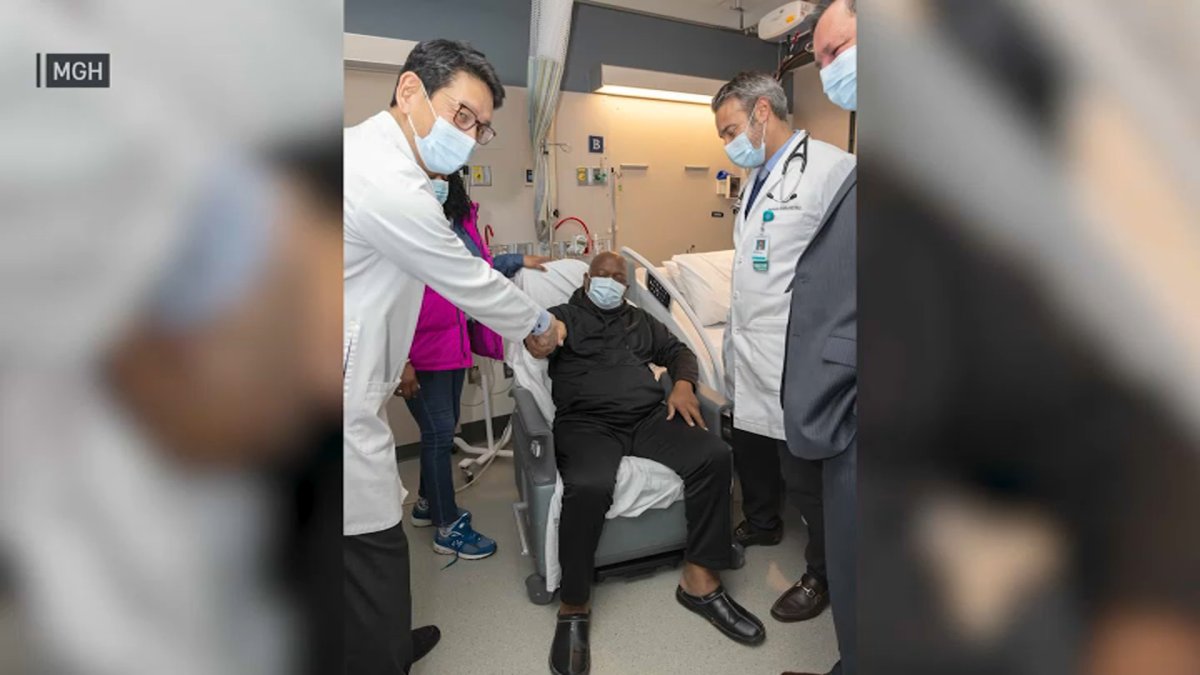 Recipient of pig kidney transplant released from hospital – NBC 7 San Diego