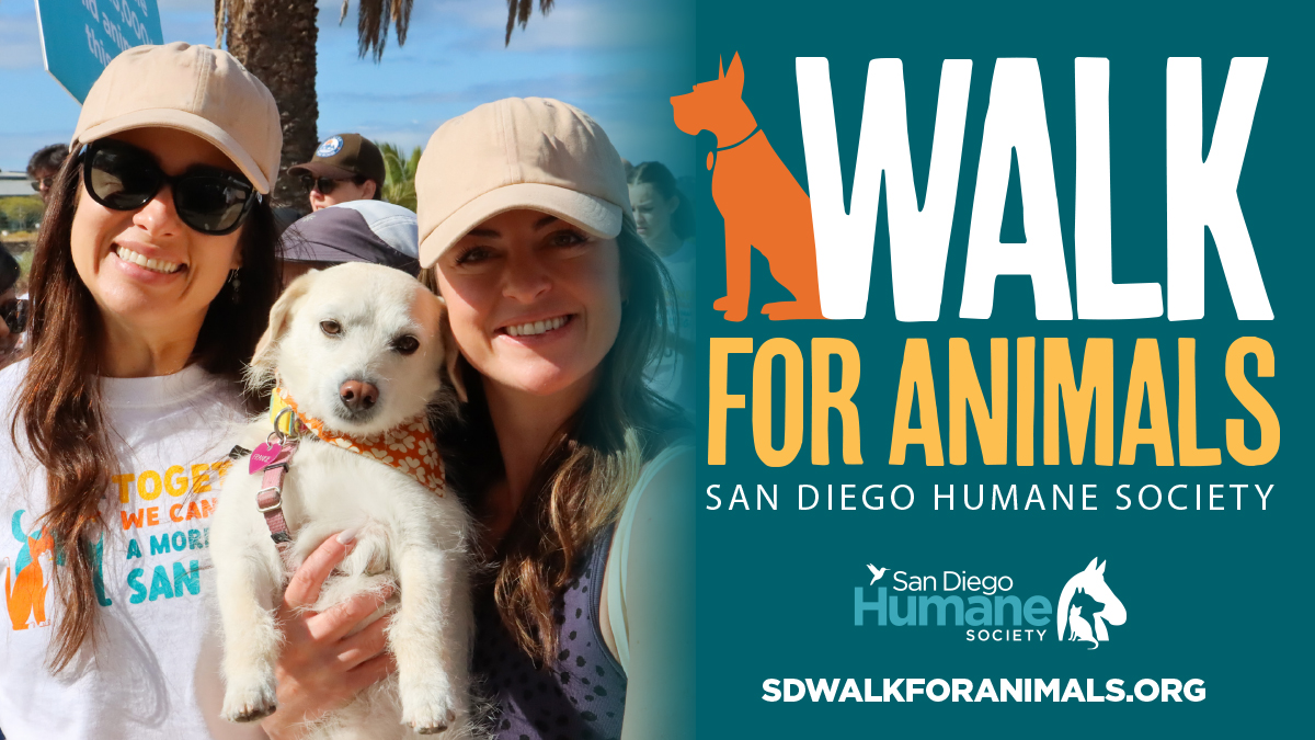 Join the San Diego Humane Society, NBC 7 & Telemundo 20 for the 30th Walk for Animals on May 4 ...