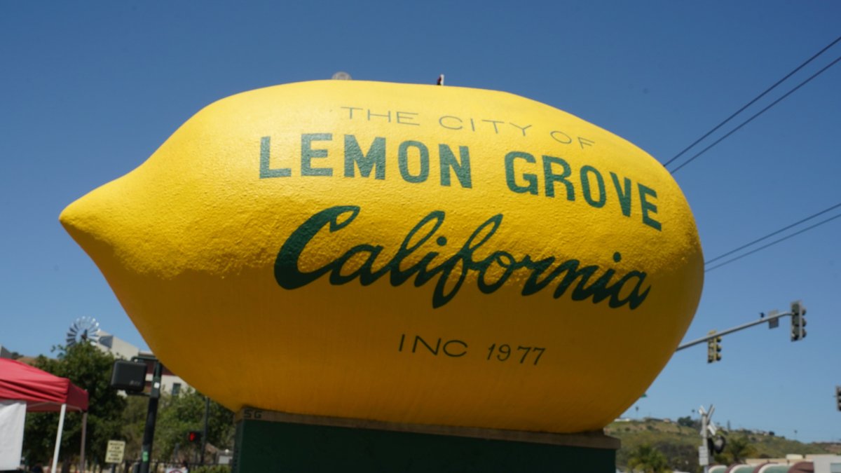 In Your Neighborhood: Exploring the community tapestry of Lemon Grove ...