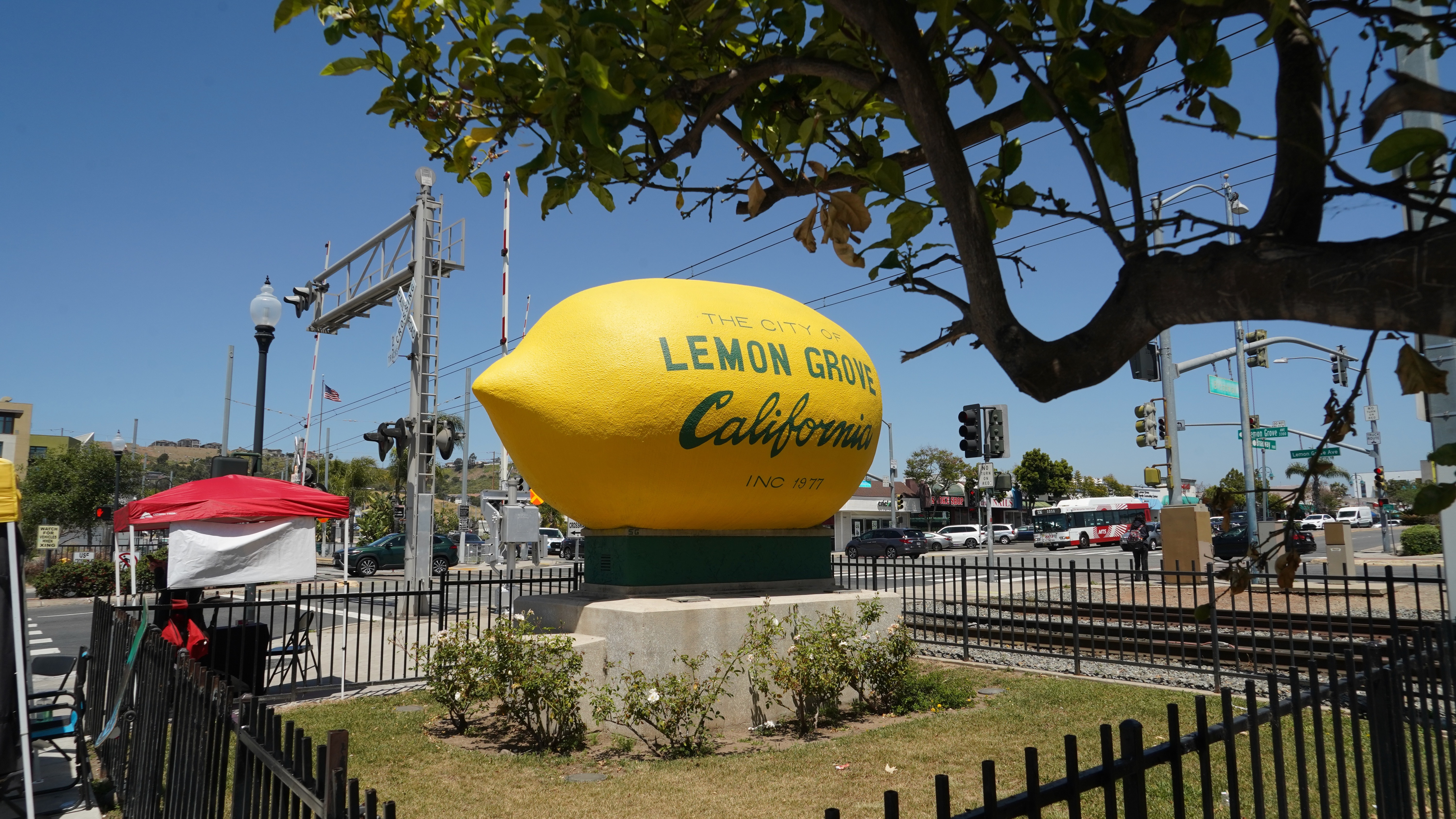 In Your Neighborhood: Exploring the community tapestry of Lemon Grove ...